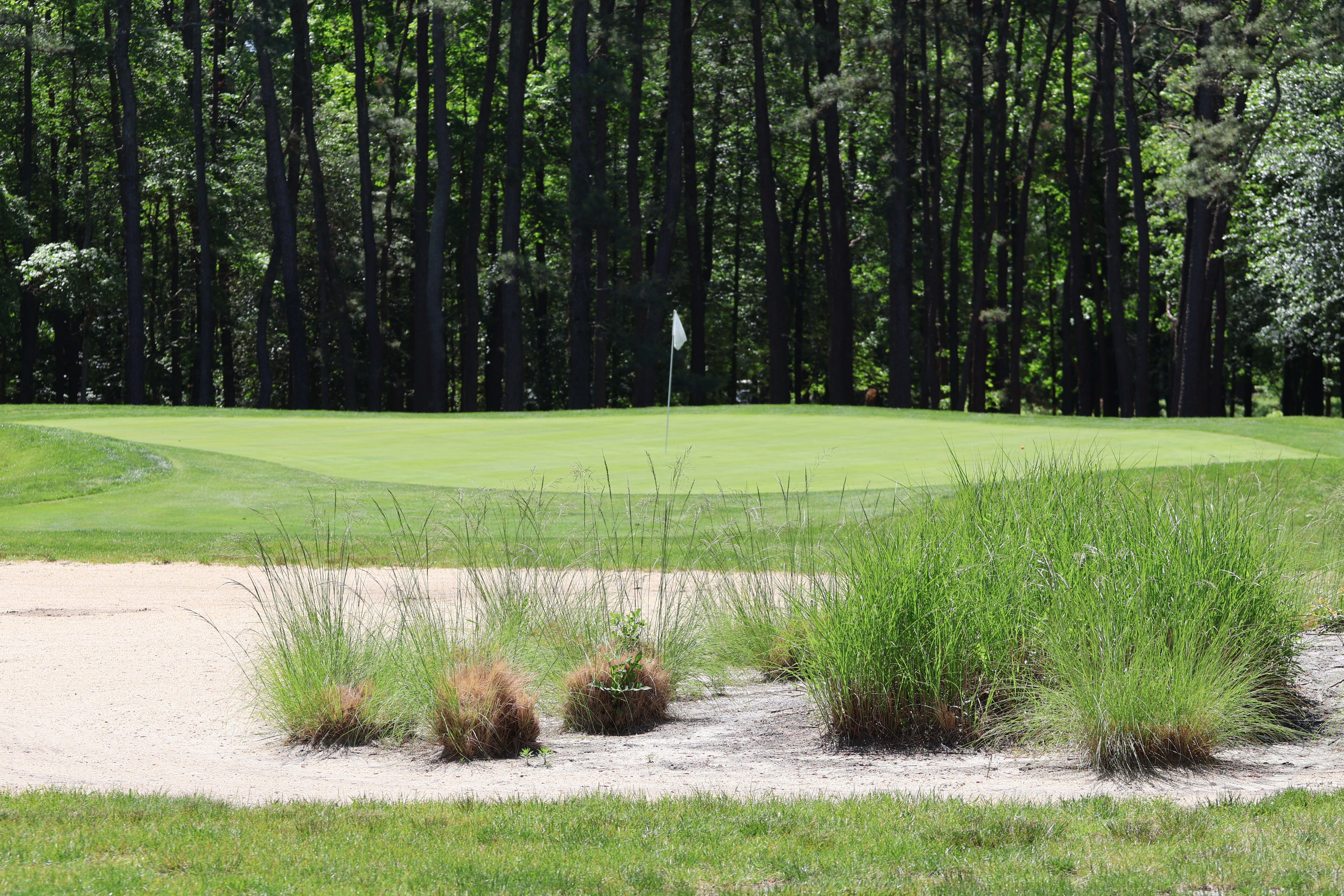 Home - The Links Golf Club