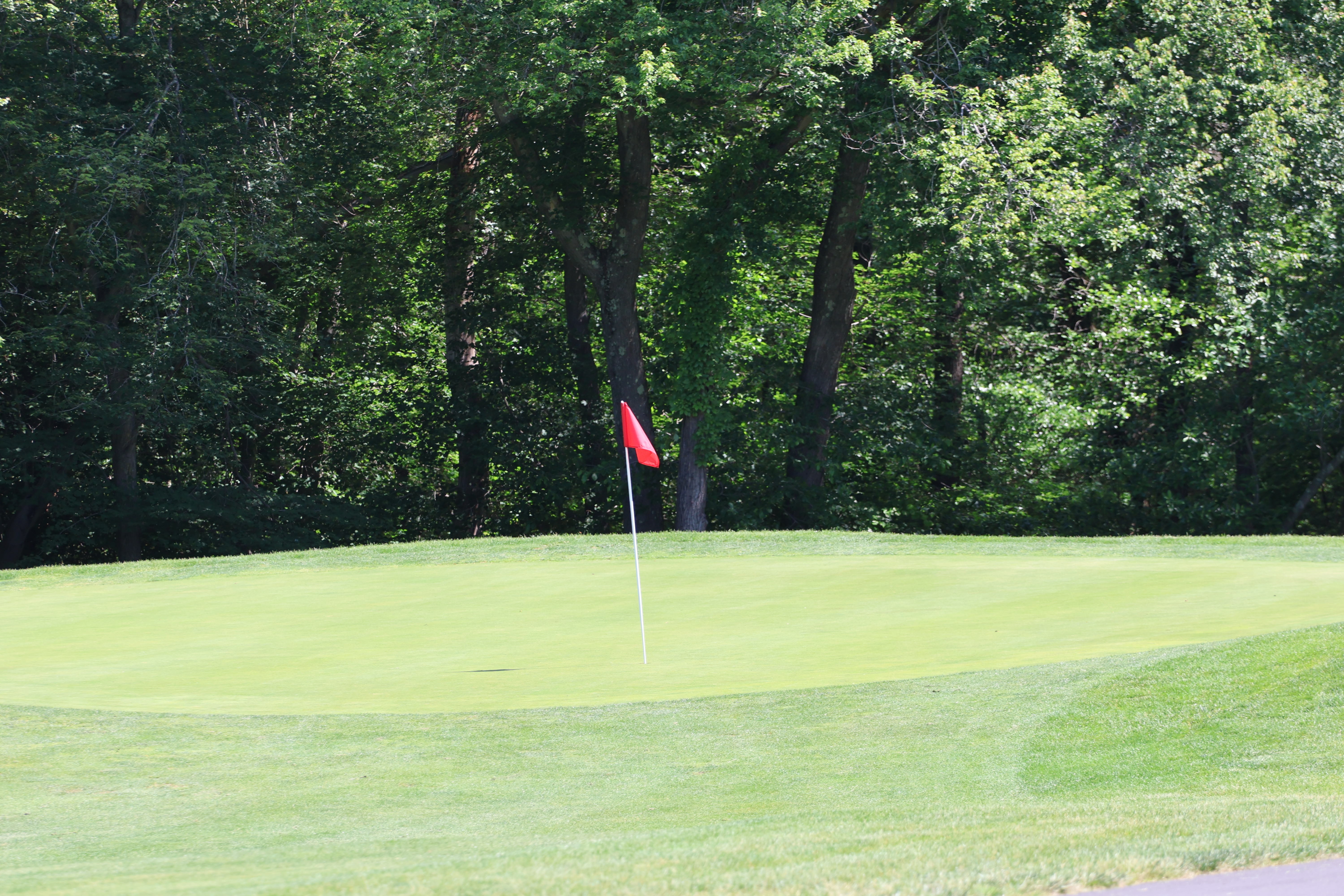 Home - The Links Golf Club